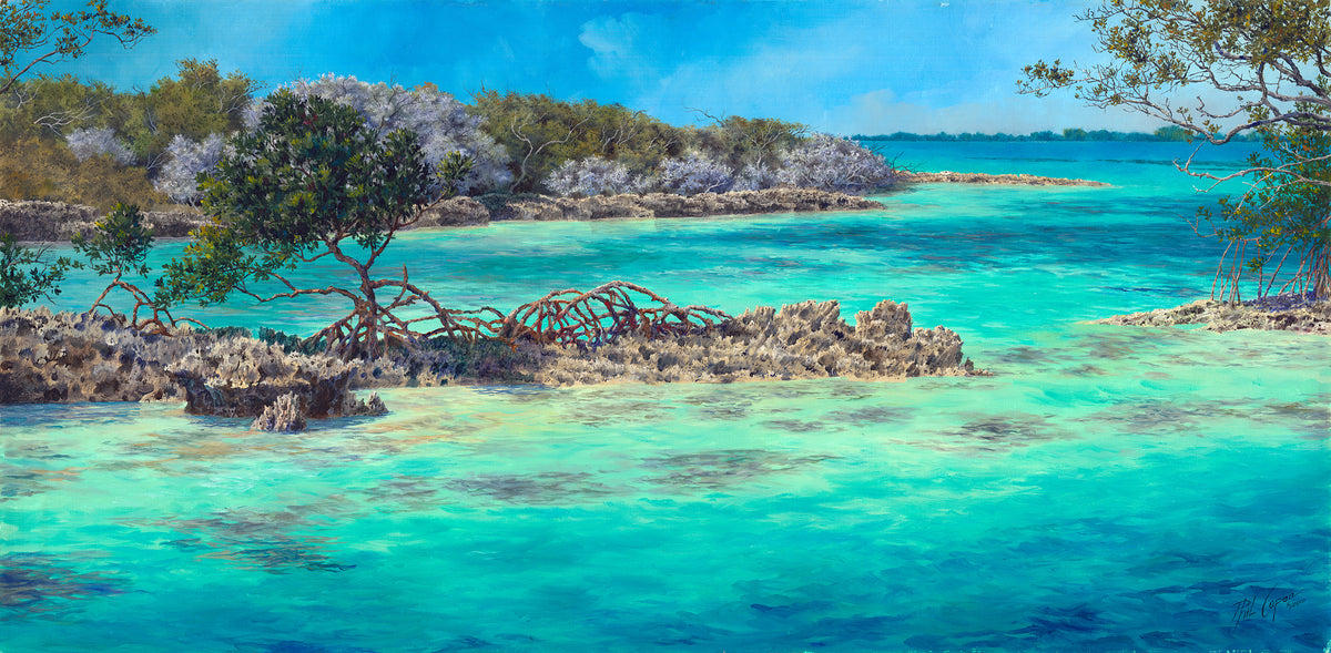 Double Breasted Cays – Phil Capen Art