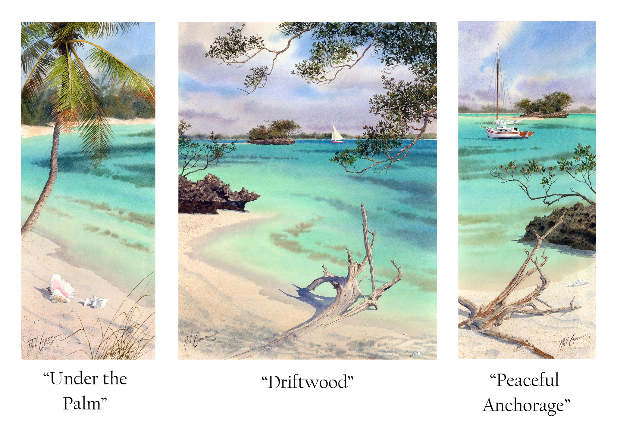 Driftwood Triptych – Phil Capen Art