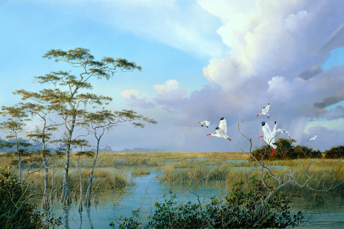 Everglades Afternoon – Phil Capen Art