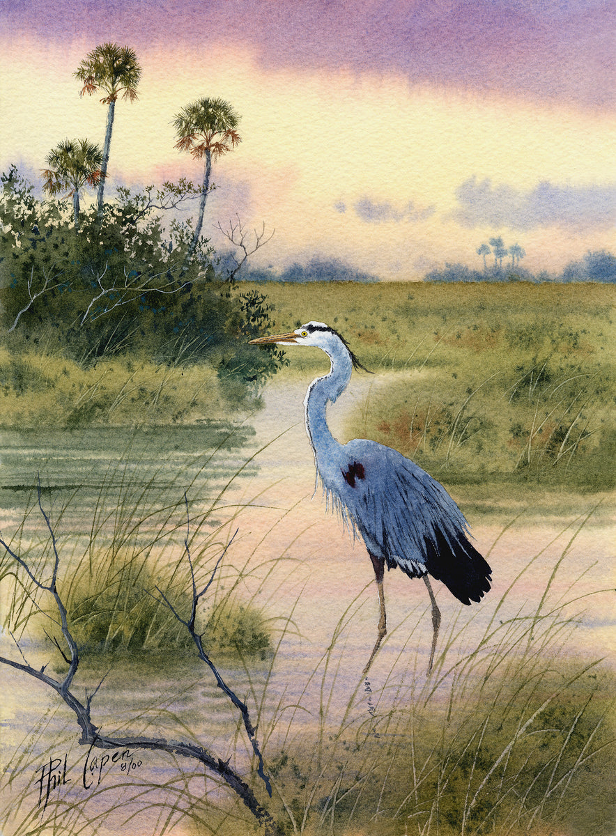 Early Bird – Phil Capen Art