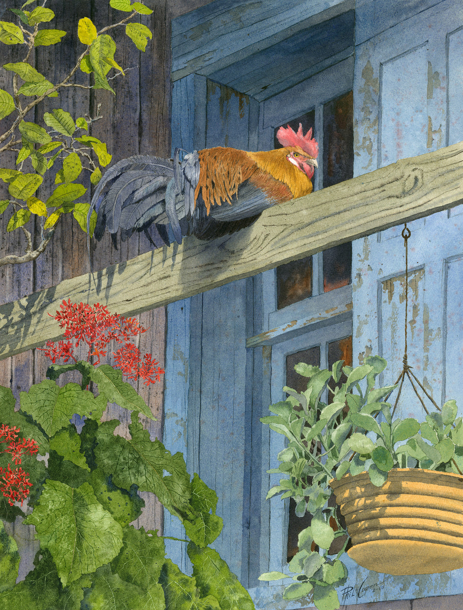 King of the Porch – Phil Capen Art