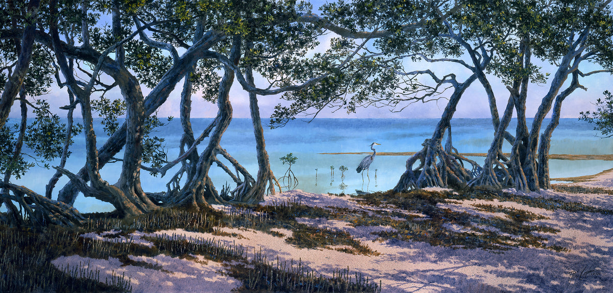 Mangrove Shadows – Phil Capen Art