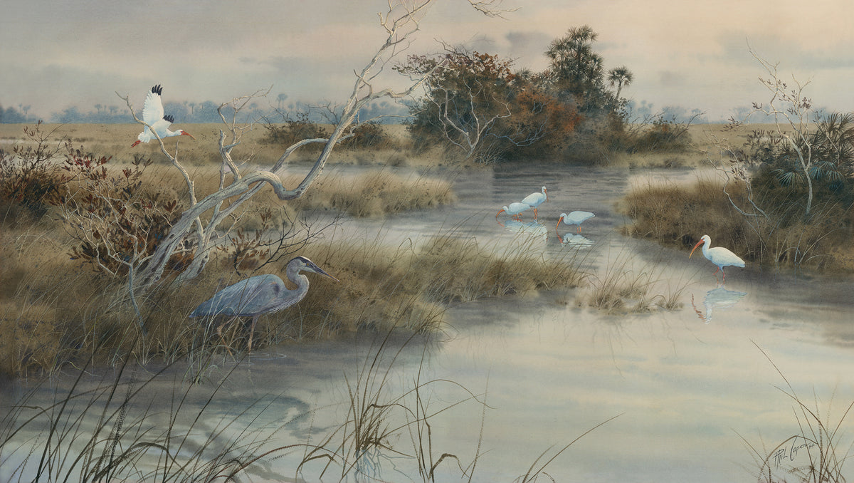 Morning in the Everglades – Phil Capen Art