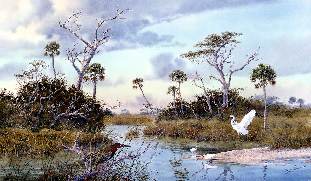 Suwannee Estuary – Phil Capen Art