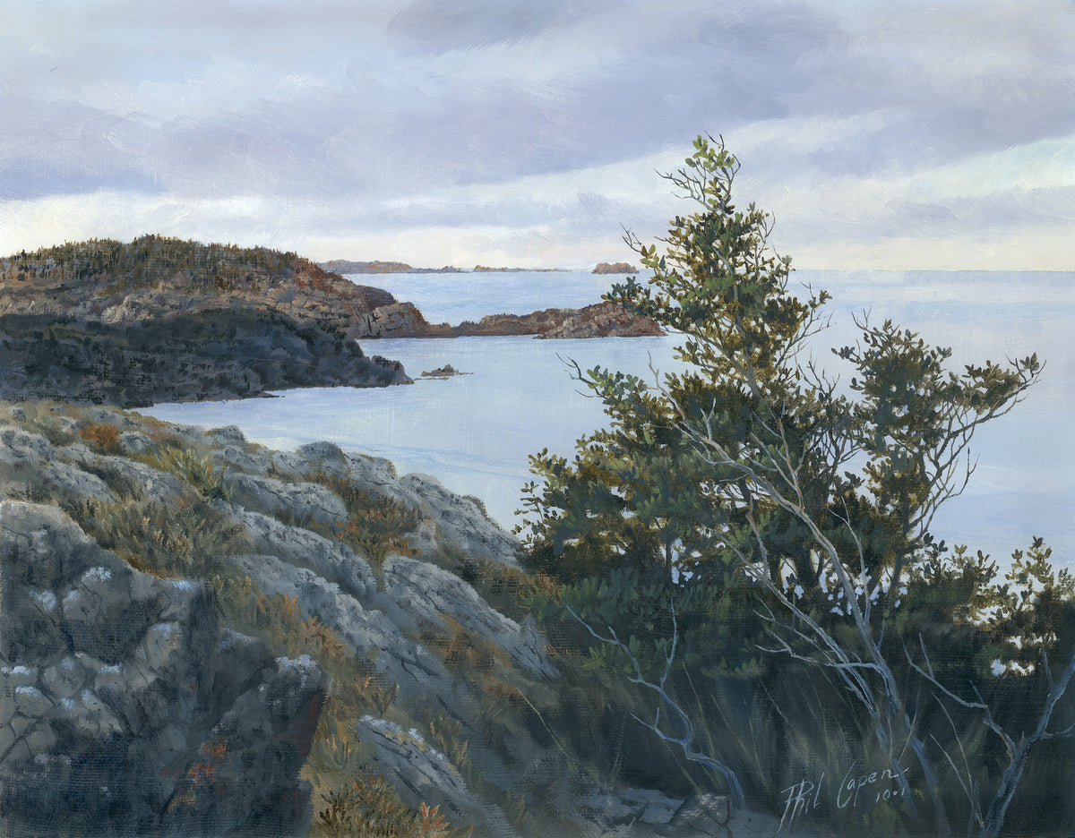 Twillingate Island – View from the Cliffs – Phil Capen Art